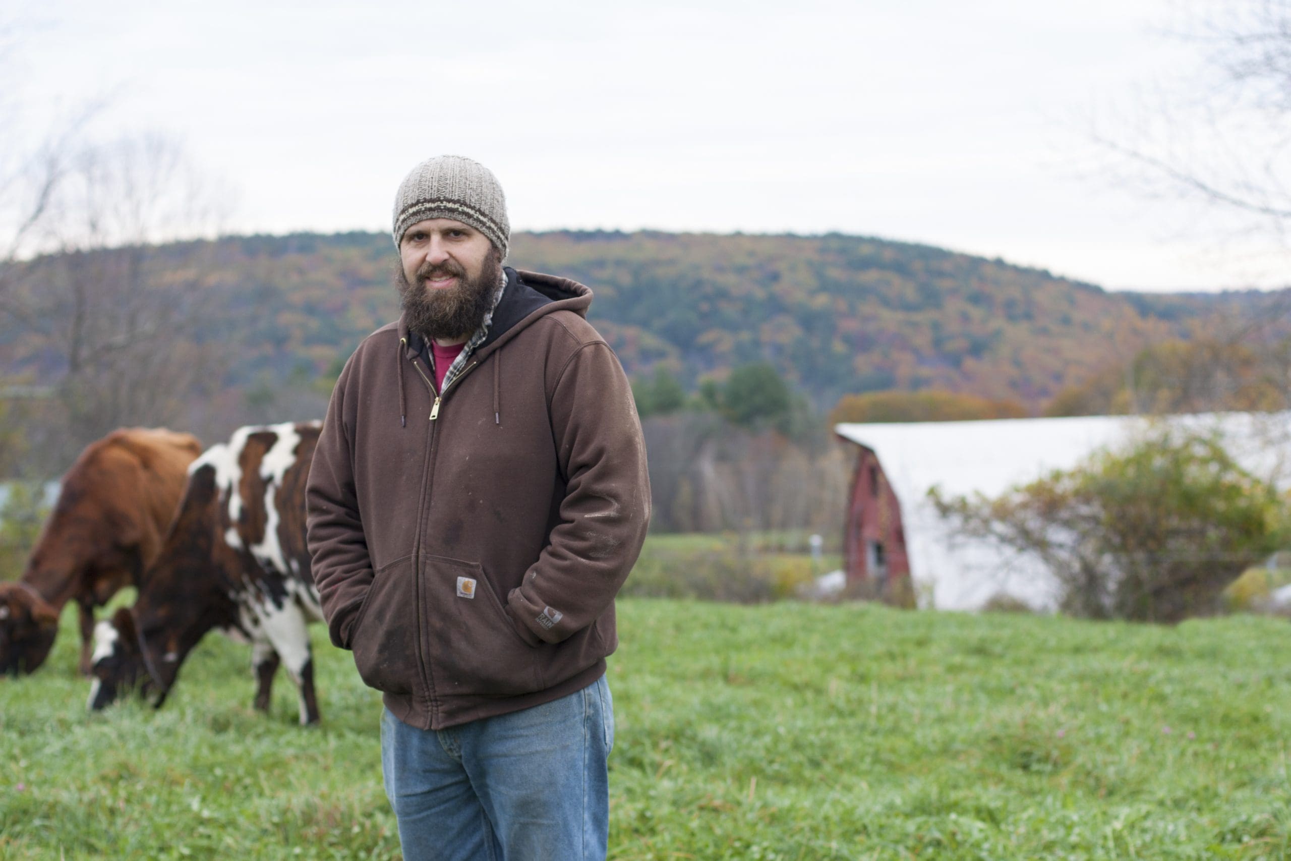 A milk and cheese tradition continues at Chase Hill Farm - Land For Good