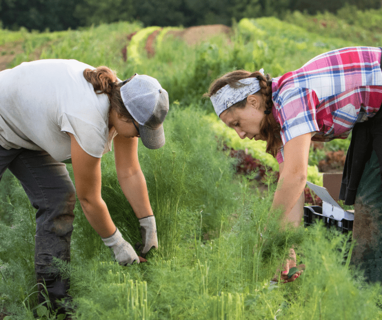 Land For Good - Land For Good
