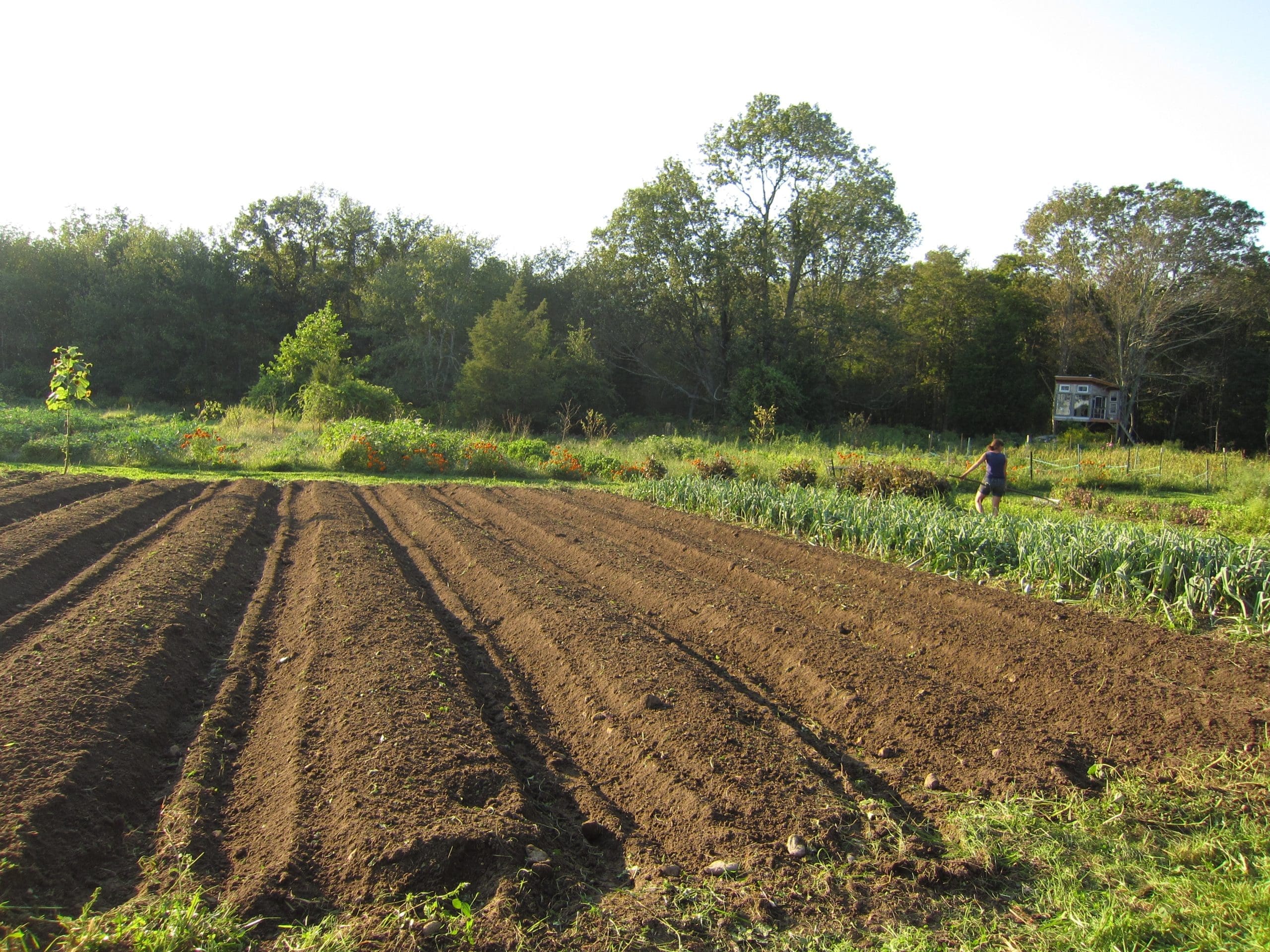 A new plain language guide on how to find, assess & secure farmland ...