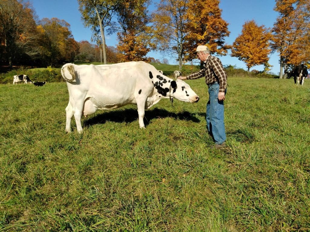 Resources - Land For Good