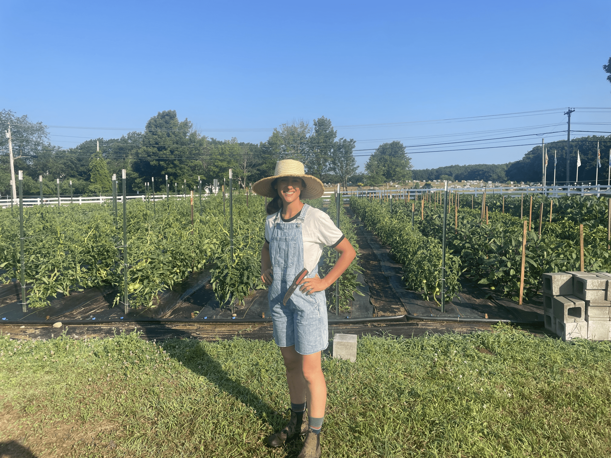 Land For Good - Land For Good
