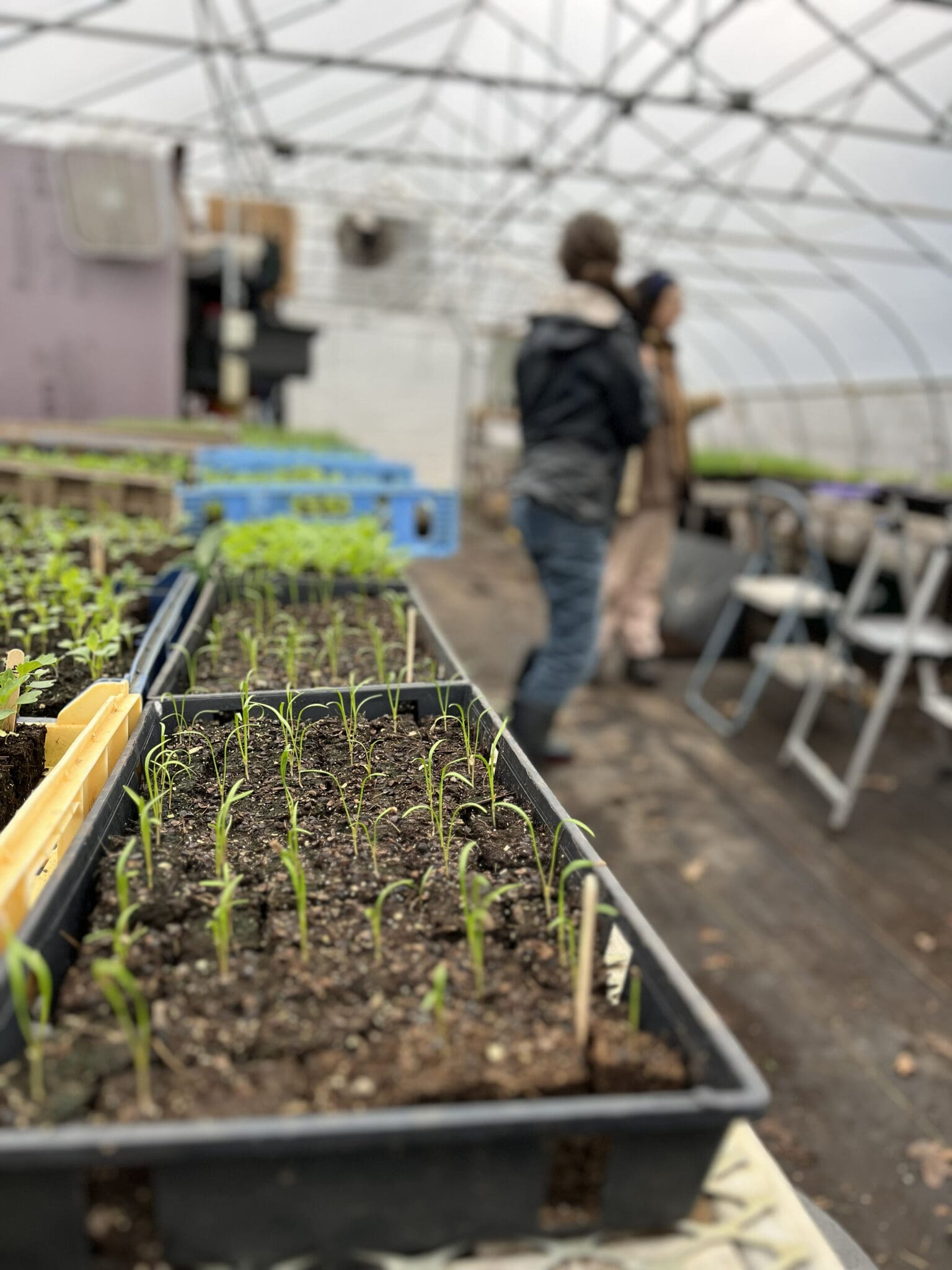 Land For Good - Land For Good