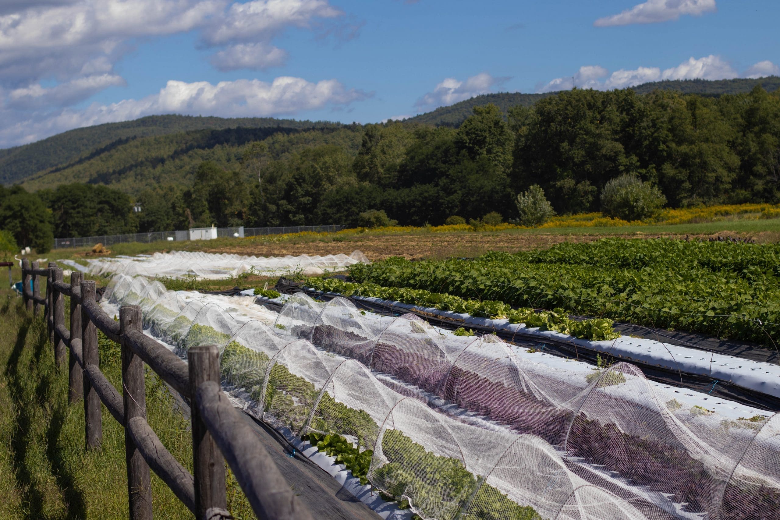 NH Farm Future Fund 2021 grant recipients announced - Land For Good