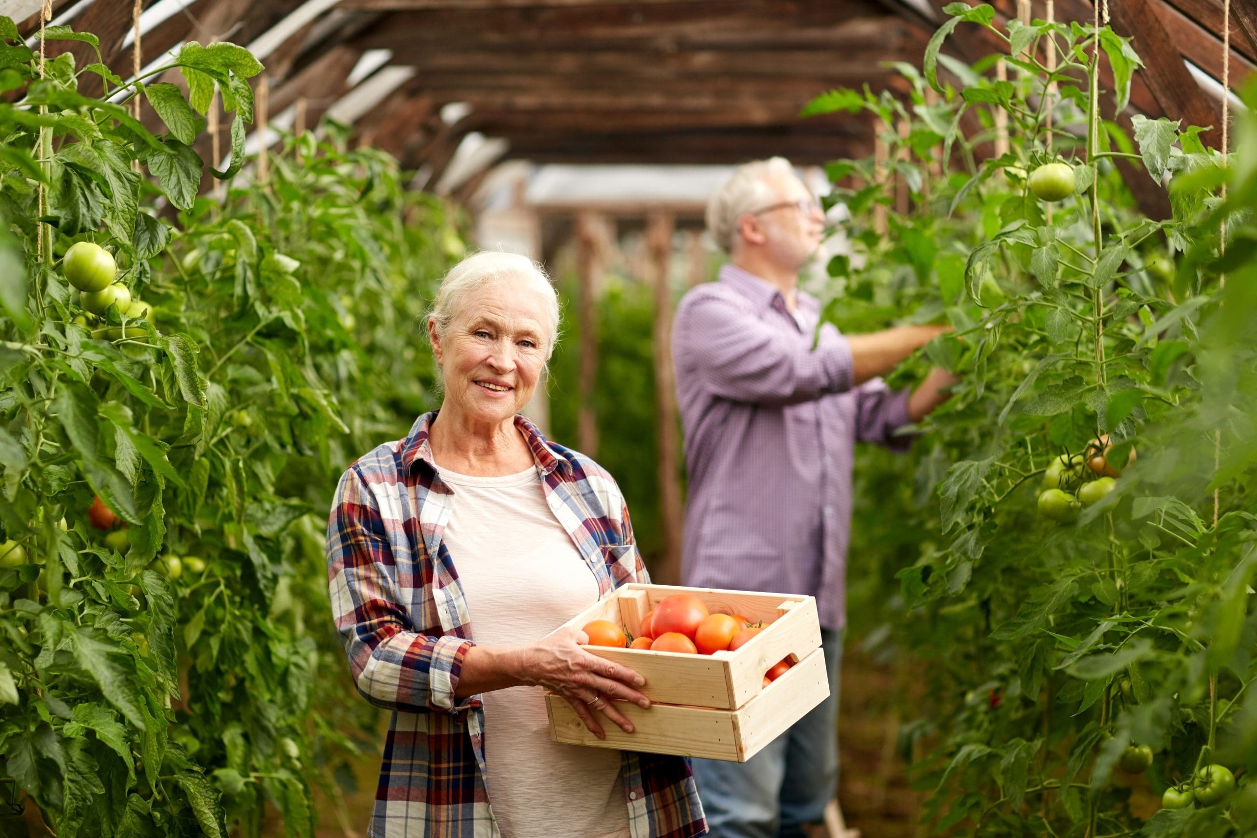 Do you know senior farmers looking toward retirement? - Land For Good